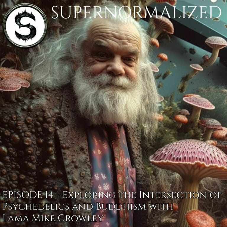 Lama Mike Crowley Interview Exploring the Intersection of Psychedelics ...